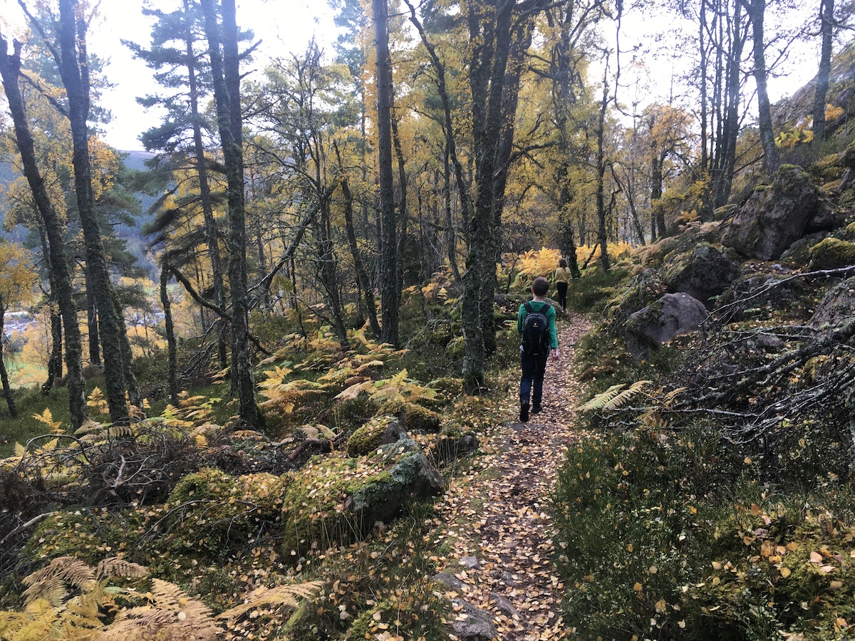 Back to Craigendarroch – rachel.blog