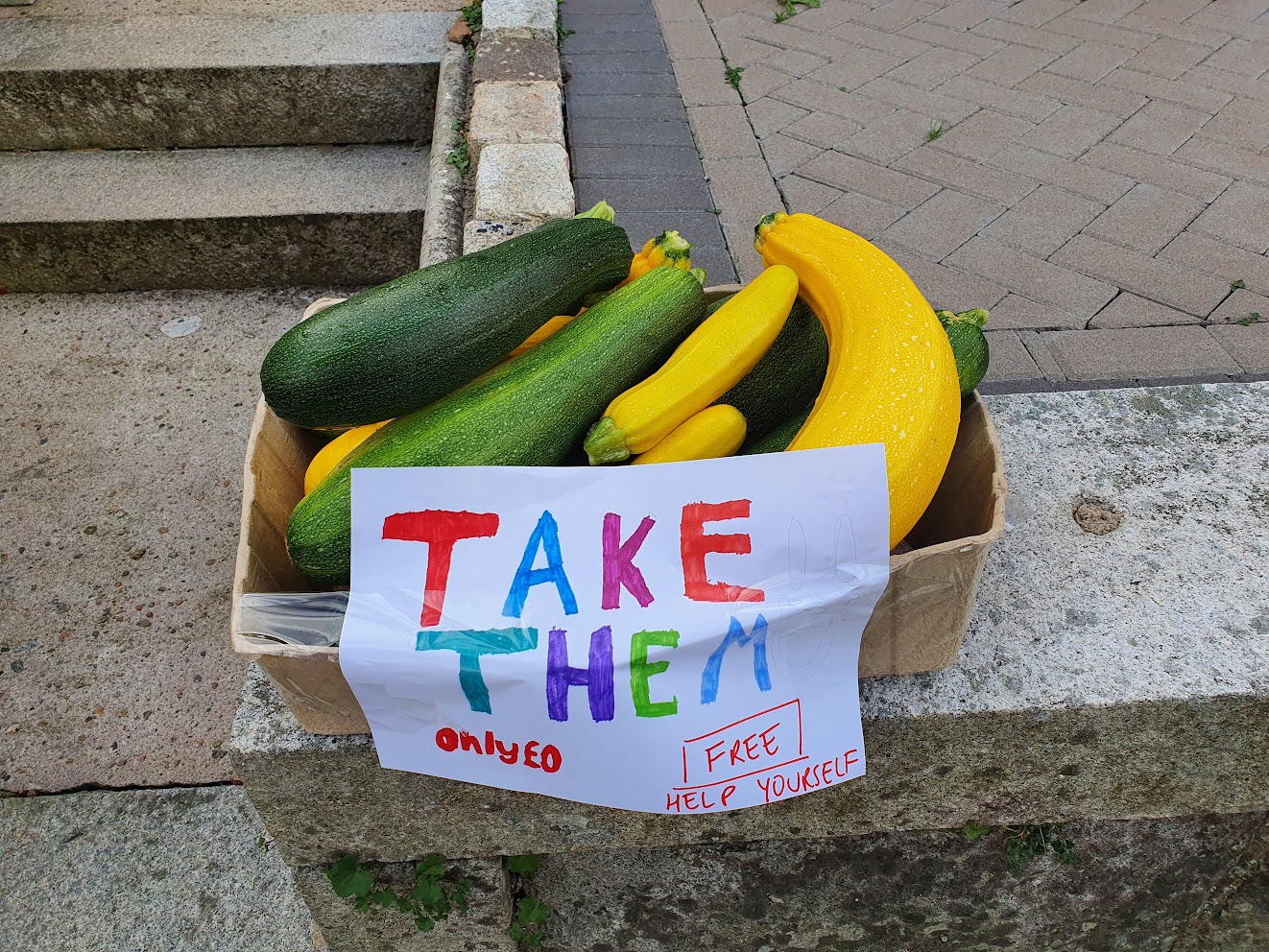 Some courgettes – rachel.blog